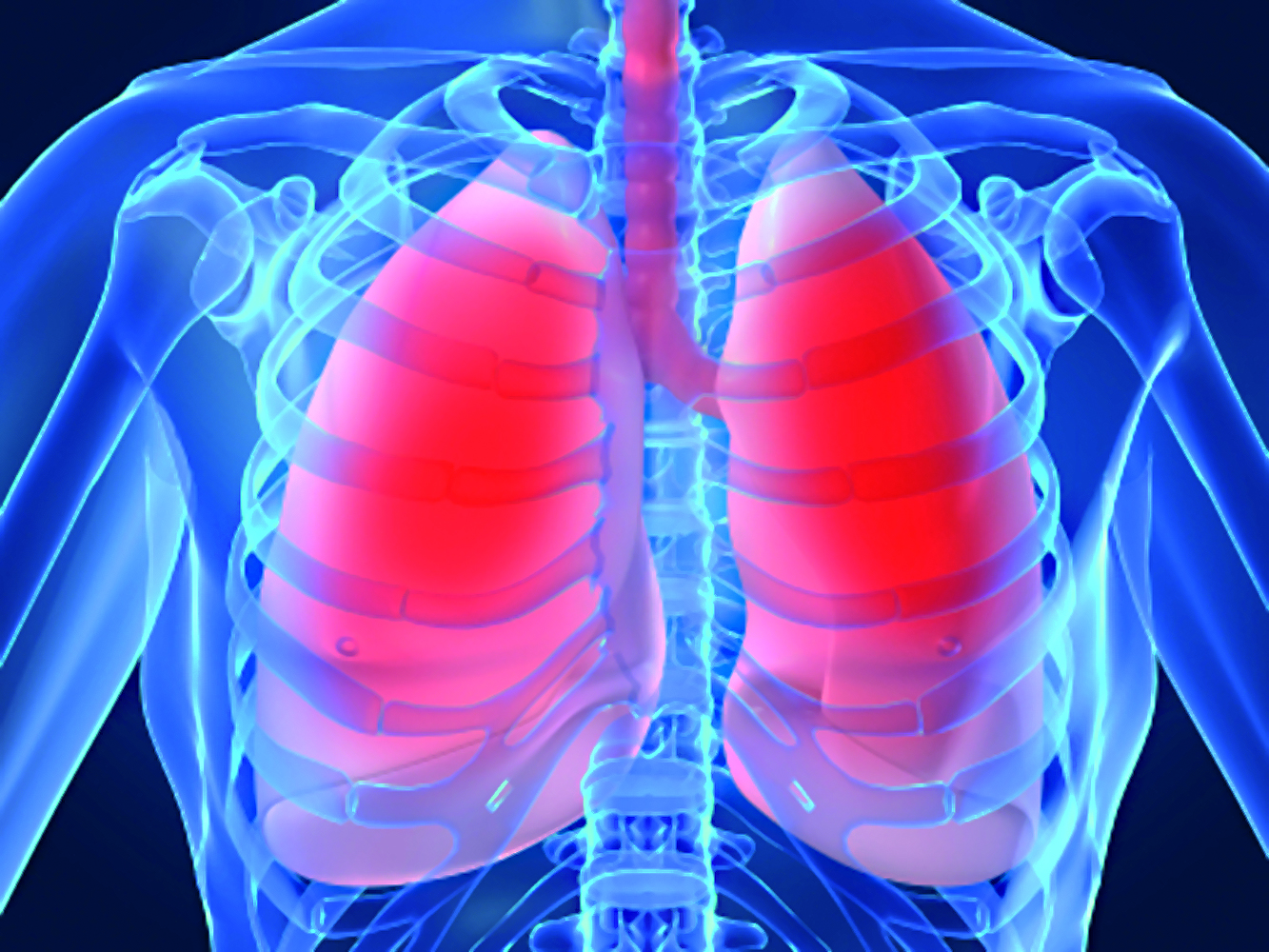 Lungfibroblaster vid KOL