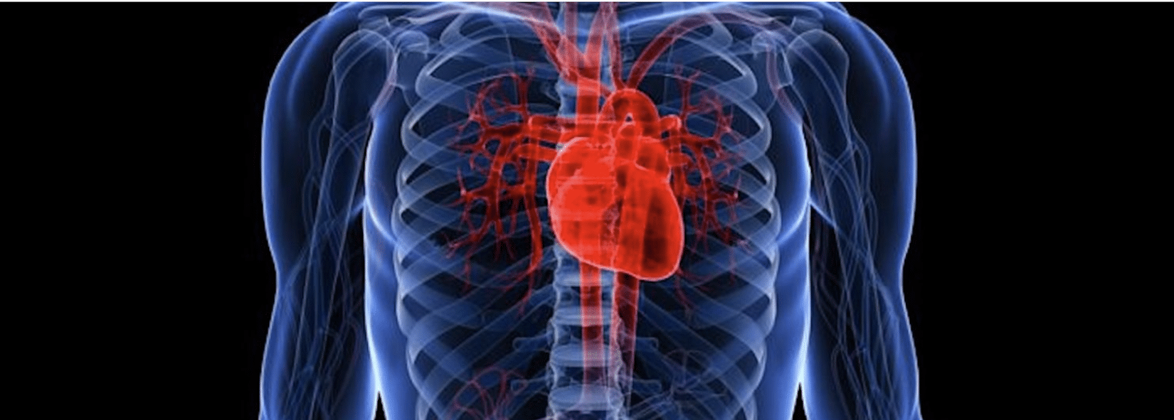 Höghöjdsvistelse vid kardiovaskulär sjukdom